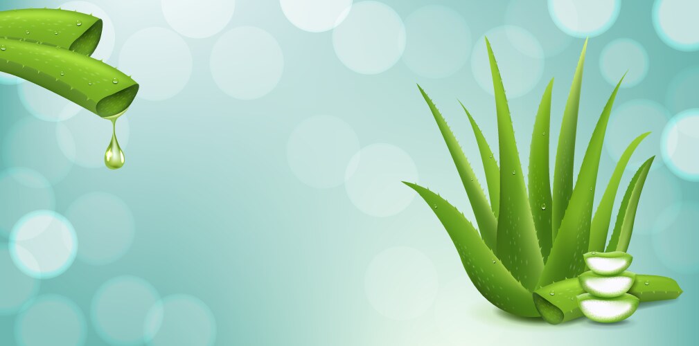 Aloe Vera Vector Images (over 7,300)