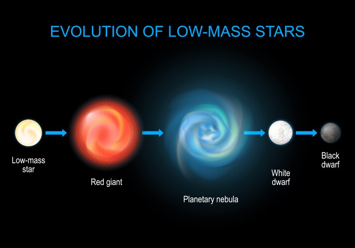 Sun's Life Cycle - Stellar Evolution – Royalty-Free Vector | VectorStock