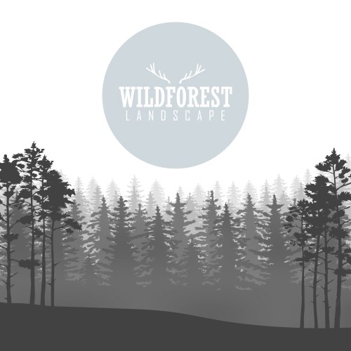 Pine forest horizontal banner set Royalty Free Vector Image