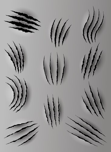 Claw Rip Vector Images (over 1,100)