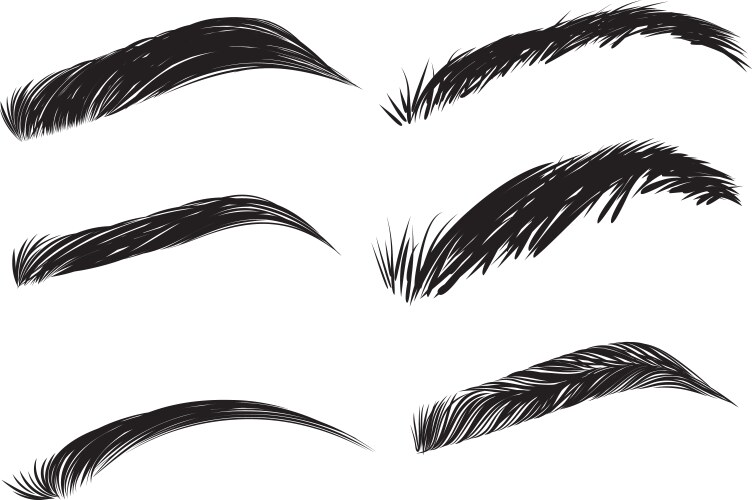 Eyebrows Vector Images (over 27,000)