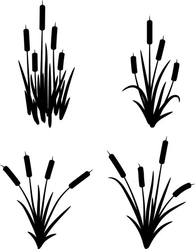 Reed silhouette set Royalty Free Vector Image - VectorStock