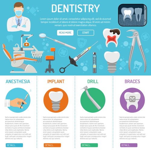 Dental hygiene infographic oral healthcare guide Vector Image