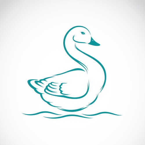 Swan Vector Images (over 17,000)