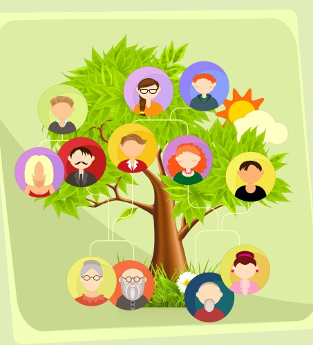 Family tree with relatives and relationship Vector Image