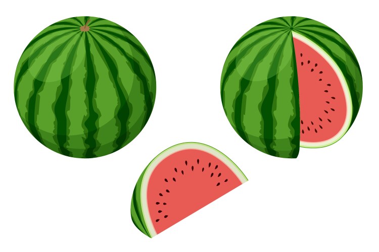 Isometric whole and half watermelon isolated on a Vector Image