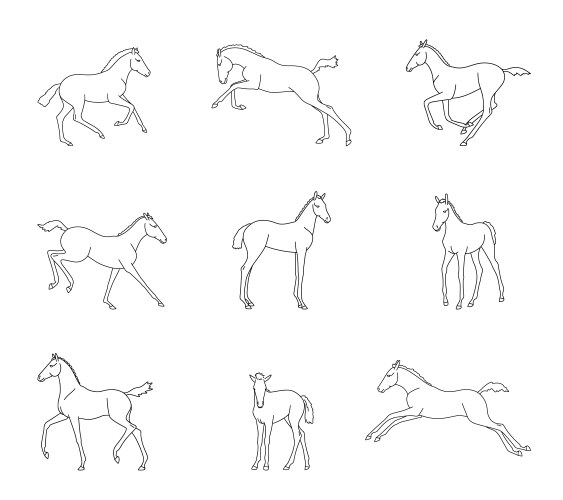 Character collection foals Royalty Free Vector Image