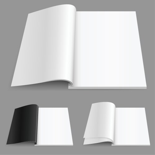 Magazine Vector Images (over 450,000)