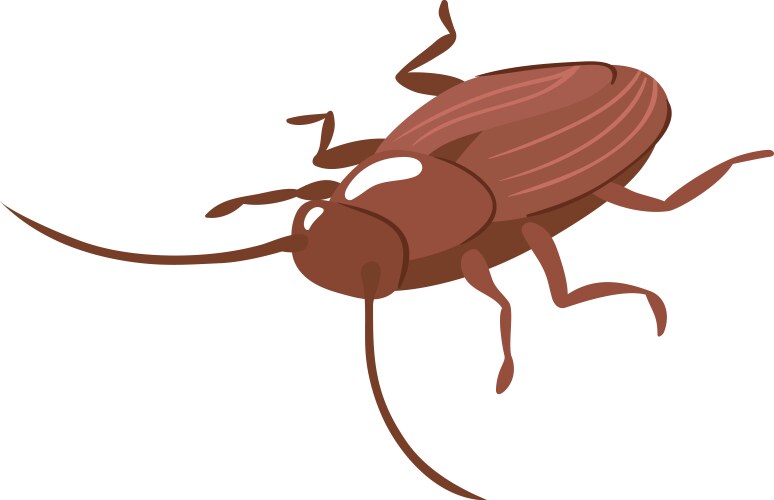 Cockroach Vector Images (over 8,500)