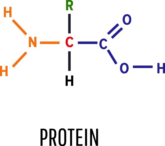 Protein Structure Vector Images (over 3,600)