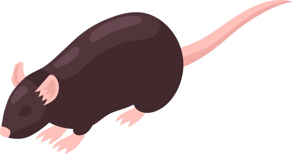 Rat nature Royalty Free Vector Image - VectorStock