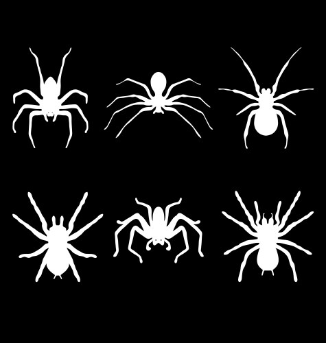 Spiders Vector Images (over 82,000)