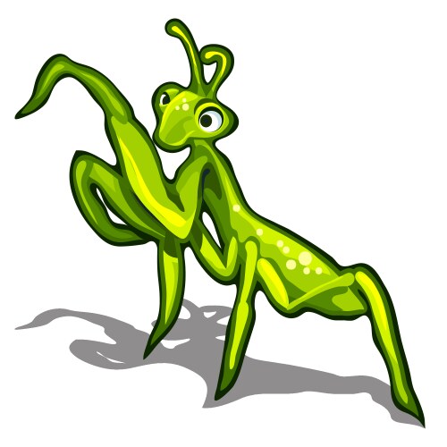 Mantis Vector Images (over 2,600)