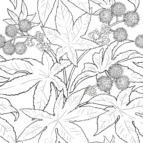 Castor seeds isolated outline Royalty Free Vector Image