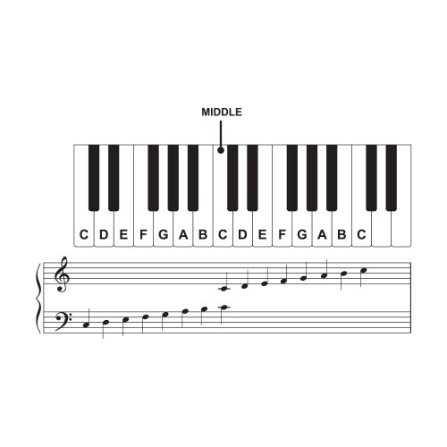 Piano Keyboard Layout Diagram – Royalty-Free Vector | VectorStock