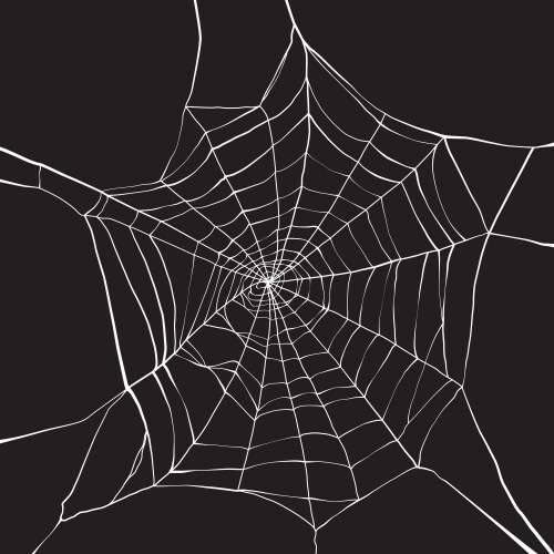Spider Web Vector Images (over 37,000)
