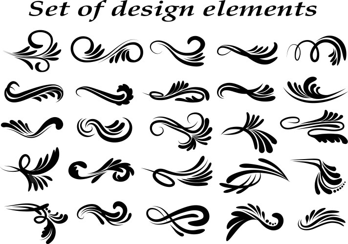 Swirly Line Curl Patterns Isolated On White Vector Image