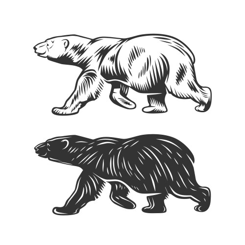 Grizzly Bear Line Vector Images (over 3,800)