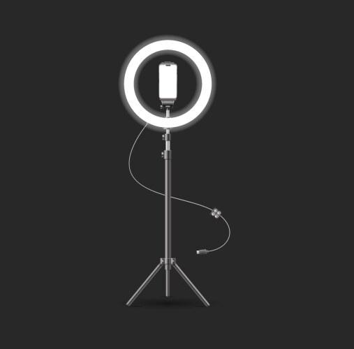 Realistic detailed 3d led ring lamp Royalty Free Vector