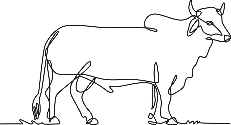 Bull Line Drawing Vector Images (over 4,000)