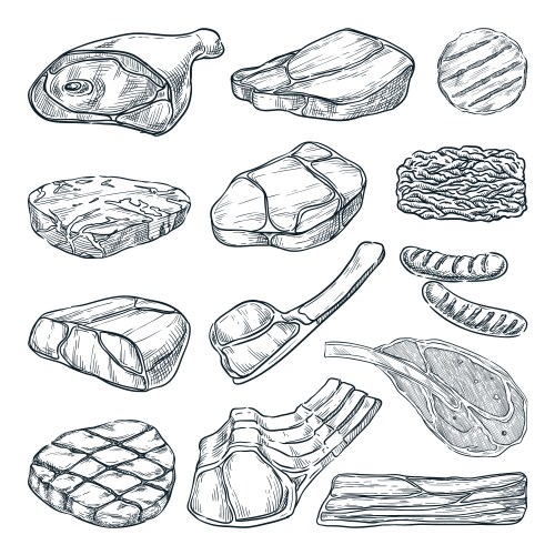 Hand drawn steak beef or pork meat cut on wooden Vector Image