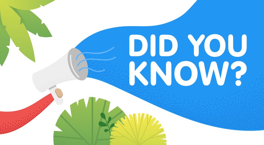 Know Vector Images (over 11,000)