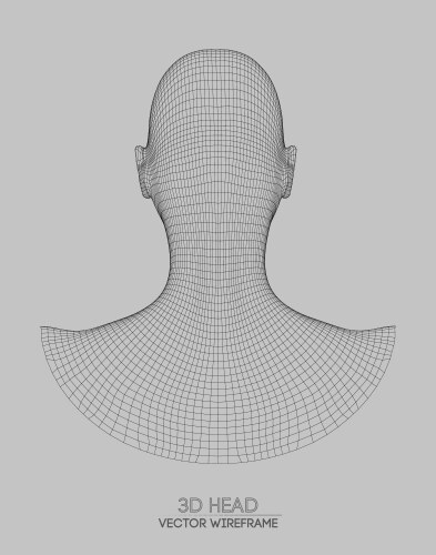 3d head wireframe drawing Royalty Free Vector Image