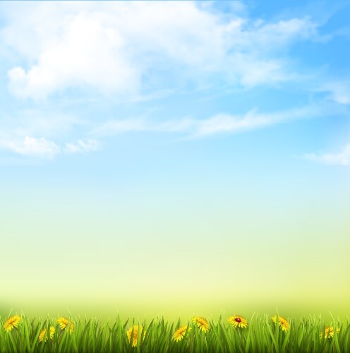 Spring nature background with grass and flowers Vector Image