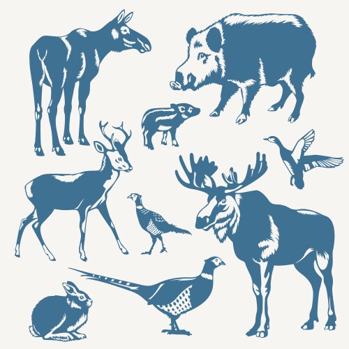 Wild Animals Vector Images (over 770,000)