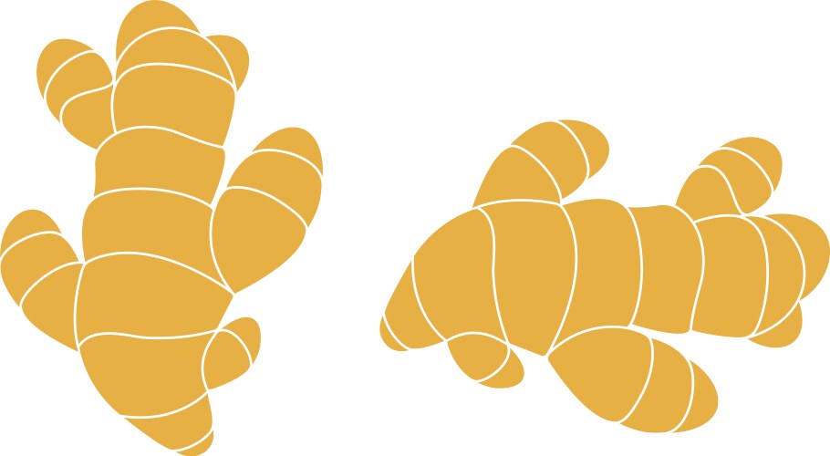 Ginger logo Royalty Free Vector Image - VectorStock