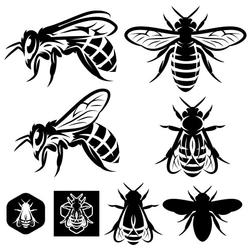 Bee Vector Images (over 97,000)