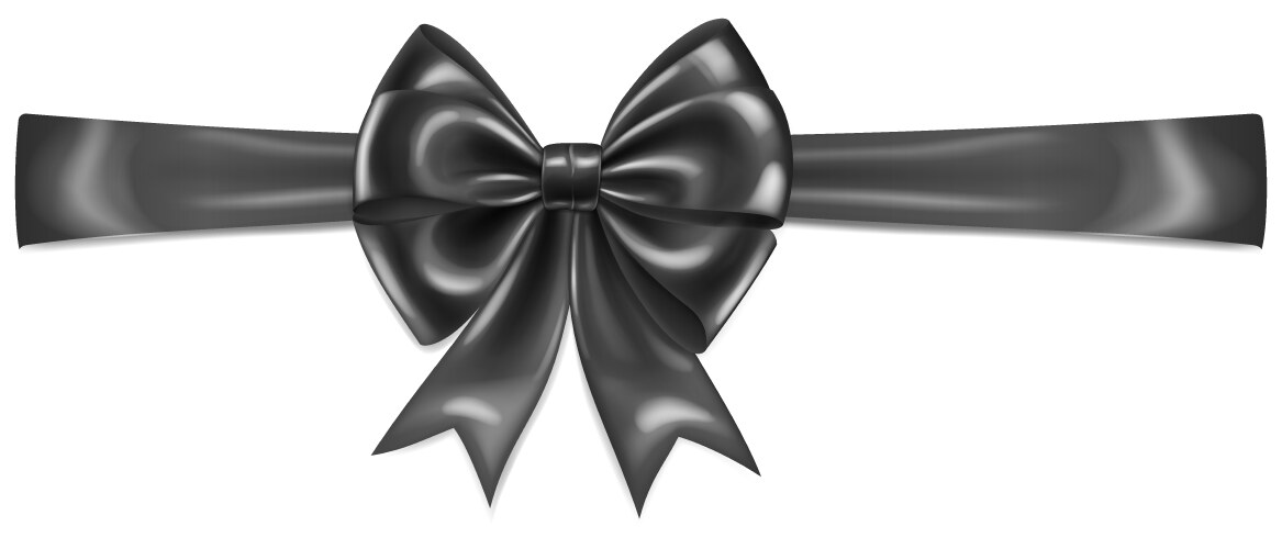 Beautiful bow with horizontal ribbon Royalty Free Vector