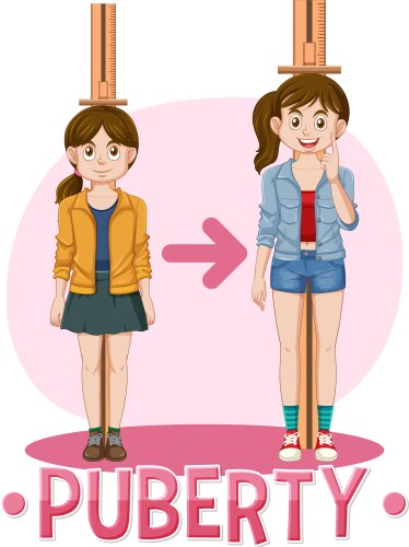 Breast development stages of puberty girl Vector Image