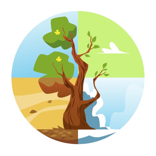 Orange Tree Life Cycle Vector Images Over 200