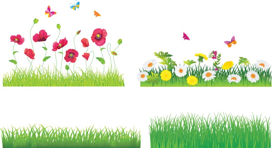 Early spring garden blossom flowers grass Vector Image