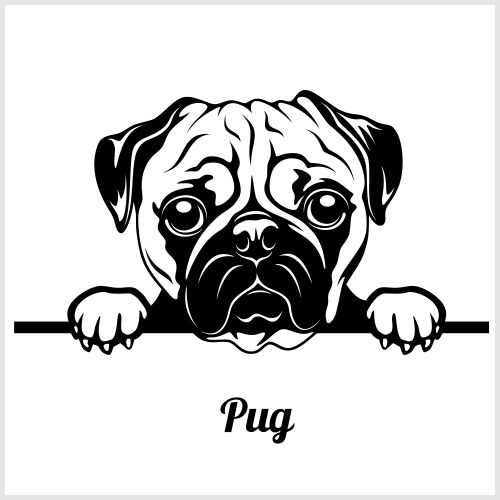 Pug Logo Vector Images (over 2,900)