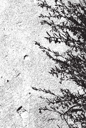 Paper overlay texture Royalty Free Vector Image