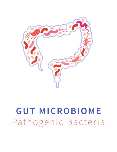 Microbiome bacteria Royalty Free Vector Image - VectorStock