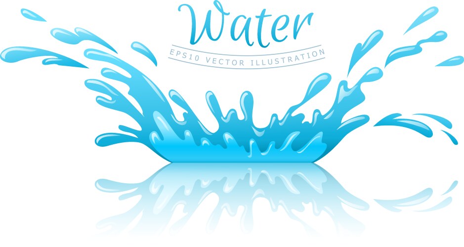 Water splash Royalty Free Vector Image - VectorStock