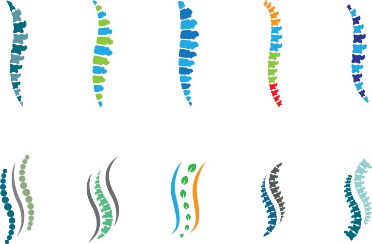 Human spine anatomy medical infographic Royalty Free Vector