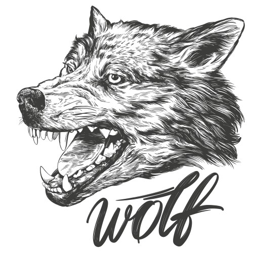 Realistic Wolf Vector Images (over 1,100)