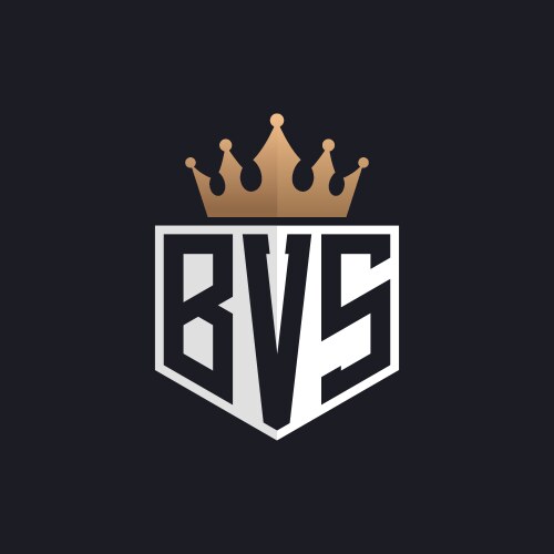 Bv Logo Vector Images (over 2,100)