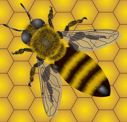 Bee Vector Images (over 94,000)