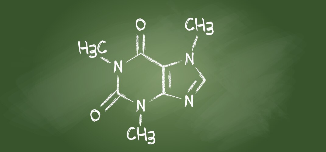 Coffee caffeine chemical structure c8h10n4o2 Vector Image