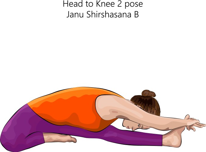 Silhouette of yoga pose janu shirshasana b Vector Image