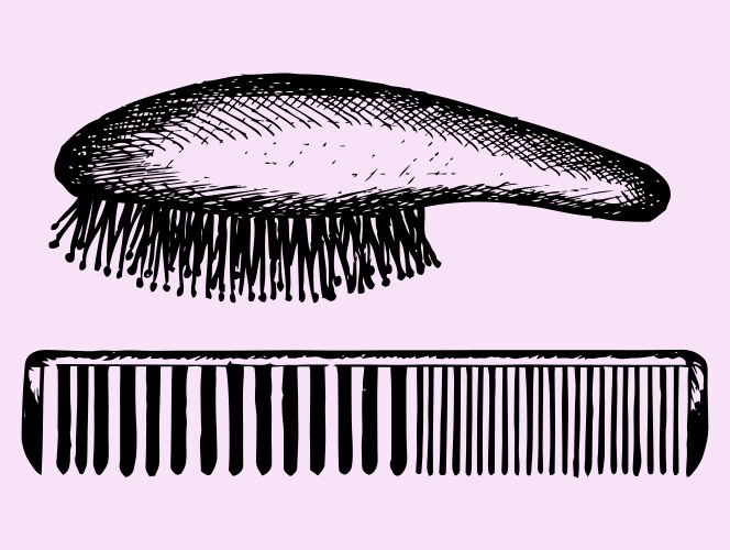 Outline of a Comb Vector Images (over 15,000)