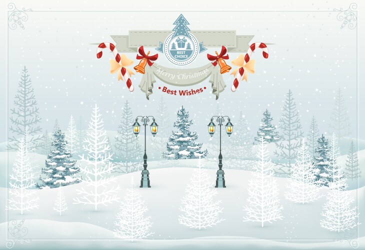 Winter landscape with white pine trees on snow Vector Image