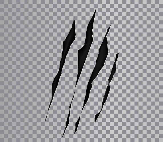 Claw Marks Vector Images (over 3,300)
