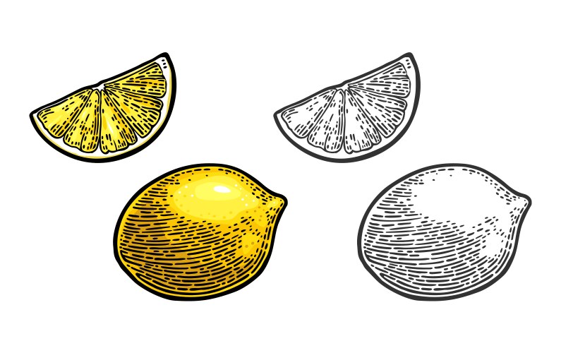 Black and White Lemon Vector Images (over 43,000)