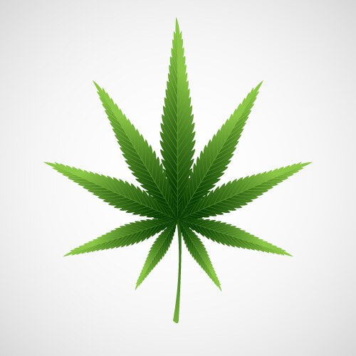 Marijuana Cannabis Weed Vector Images (over 39,000)